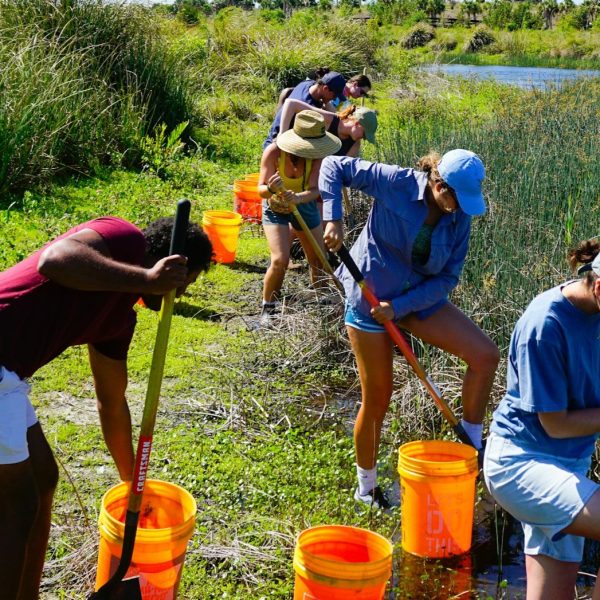 Bay Area Bruins: Restoration Volunteer Day - UCLA Alumni